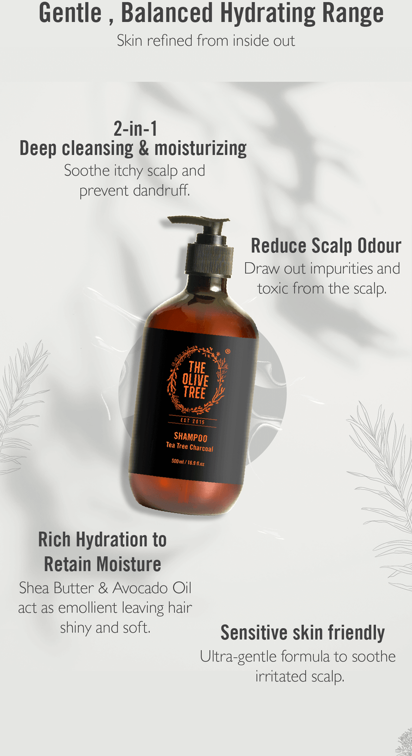 The Olive Tree Natural Hair Care Sulphate Free Hair Loss Oily Scalp